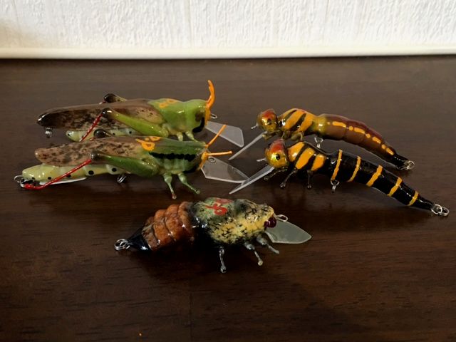 cid_2C0CAD0D-ABA3-49B5-97C6-DC1DCCE7B64A | 北海道フィッシングガイドRiver Freak